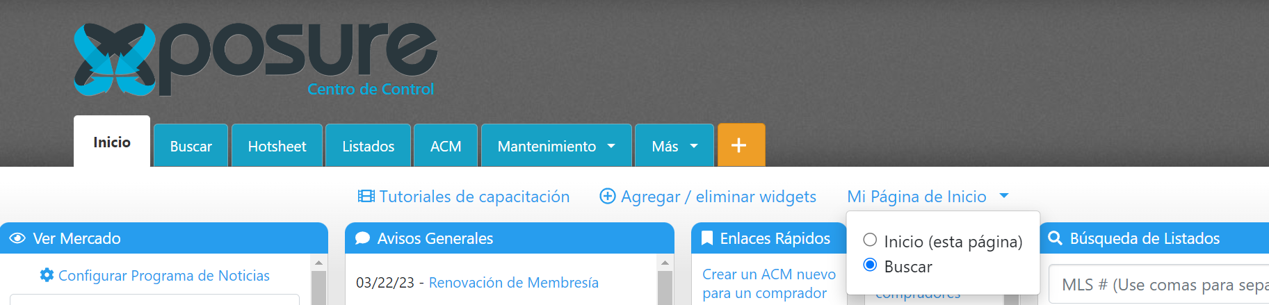 Configura tu Página de Inicio en Xposure™ – RealtyServer